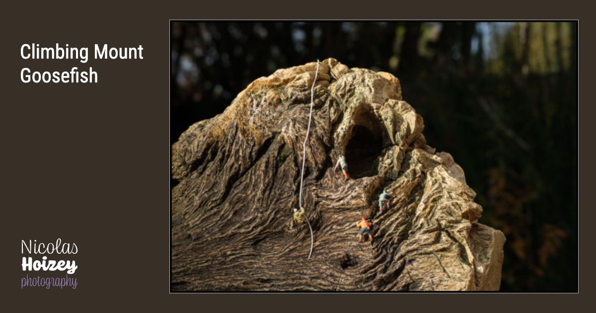 Climbing Mount Goosefish — Nicolas Hoizey photography